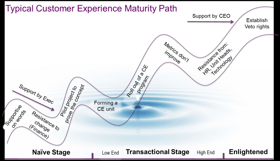 CX Framework #1: Customer Experience Strategy | Nienke Bloem CXPA